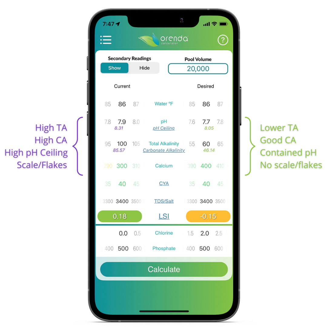 Why are there white flakes in my pool?