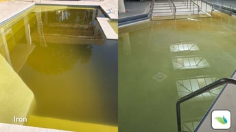 I shocked with chlorine, and the water changed color. Why?
